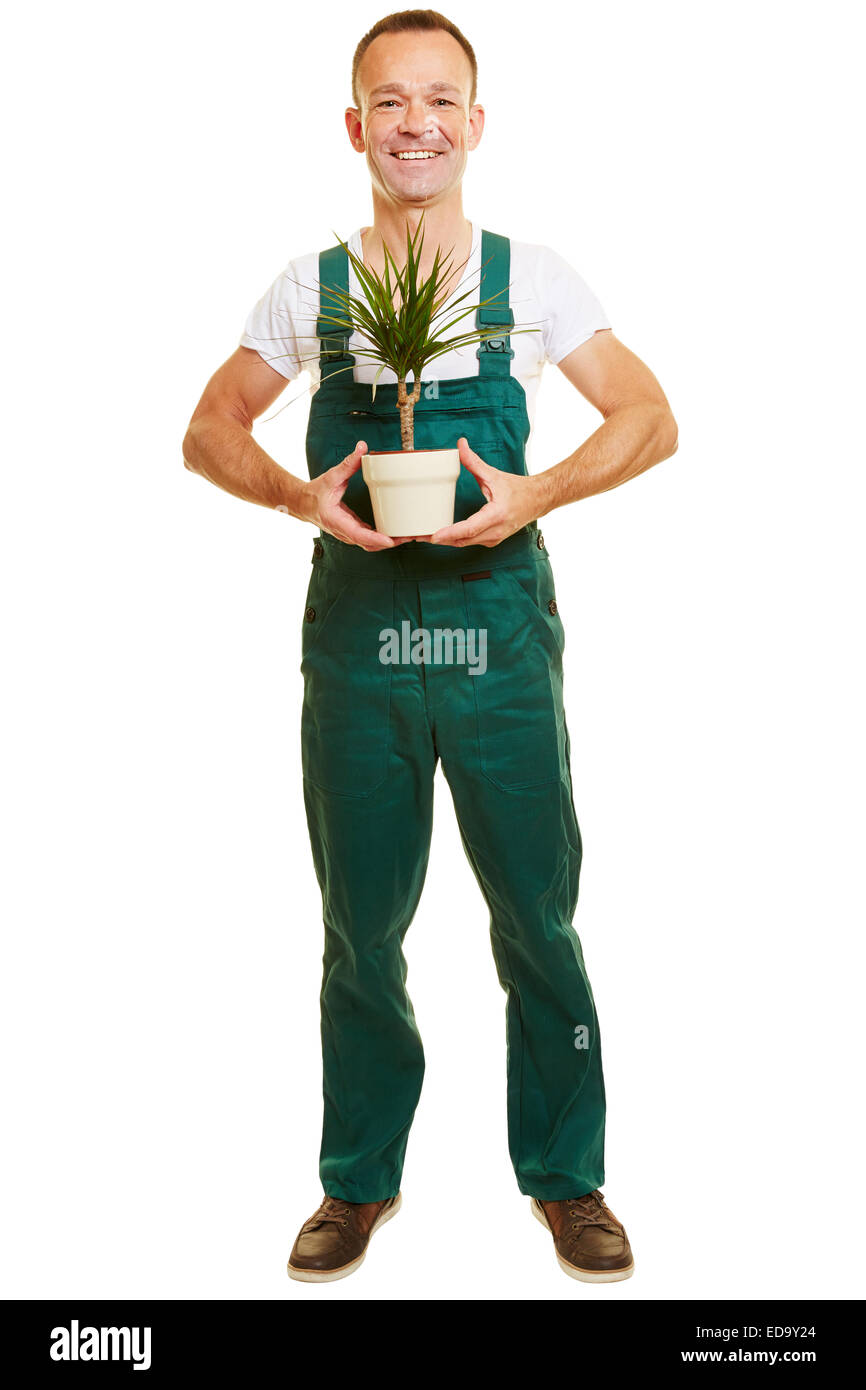 Isolated full body gardener with green overalls and a Beaucarnea plant ...
