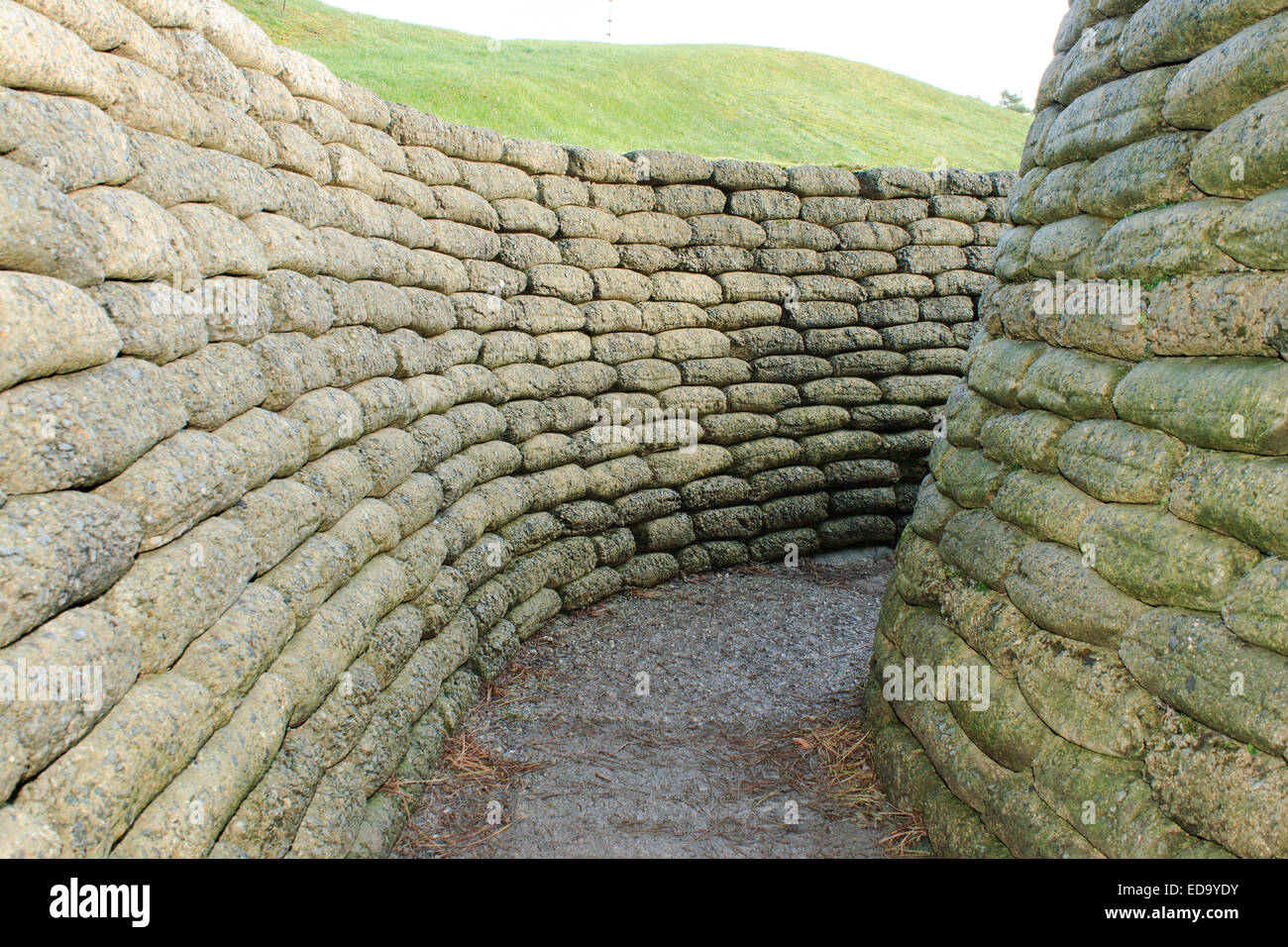 The trenches on battlefield of Vimy ridge France Stock Photo - Alamy