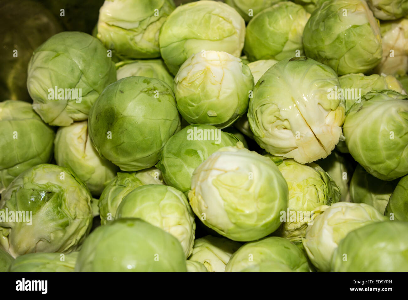 Prepared brussels sprouts ready to be cooked before a Christmas meal or ...