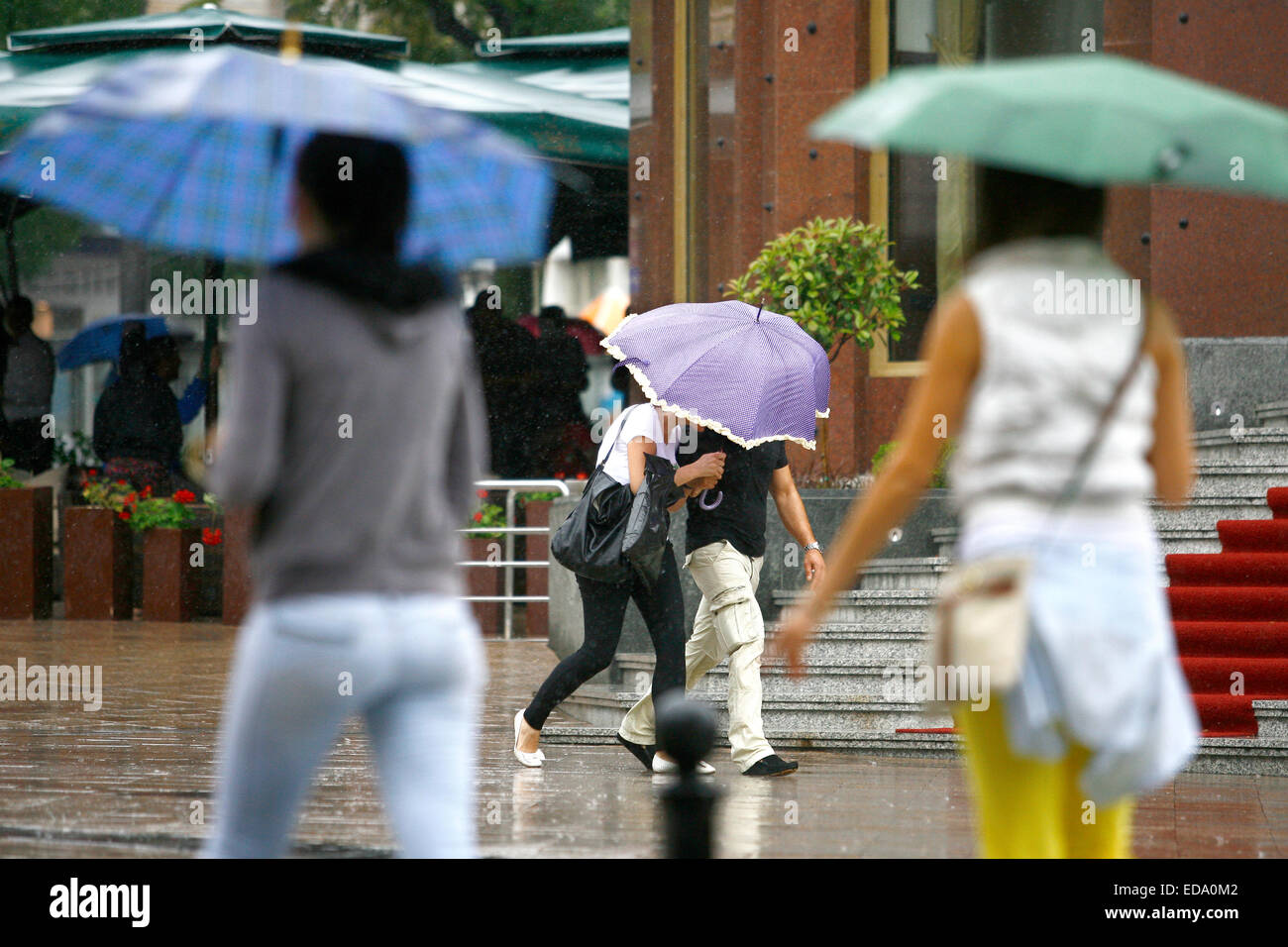 People walking with umbrellas in the rain Stock Photo - Alamy