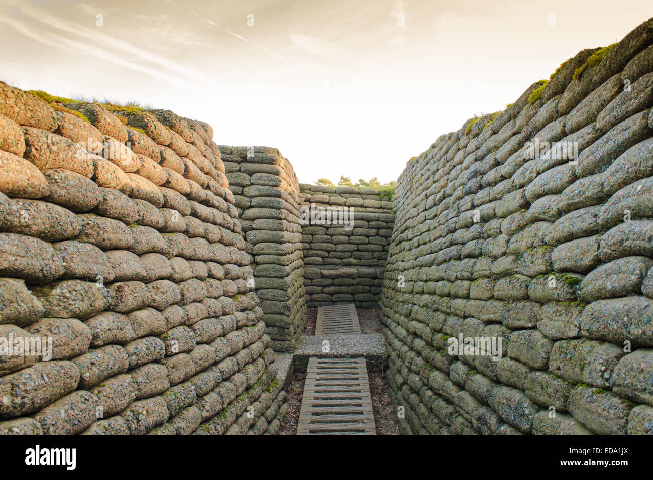 Vimy ridge trenches ww1 battle france world war one canadian hi-res ...