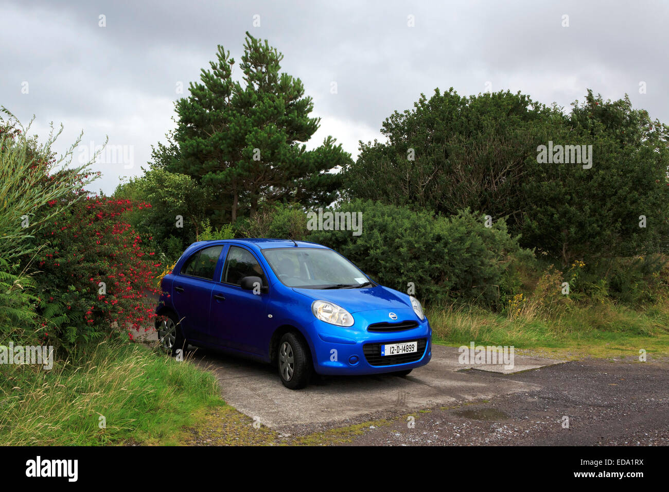 Blue Nissan Micra near trees Stock Photo - Alamy