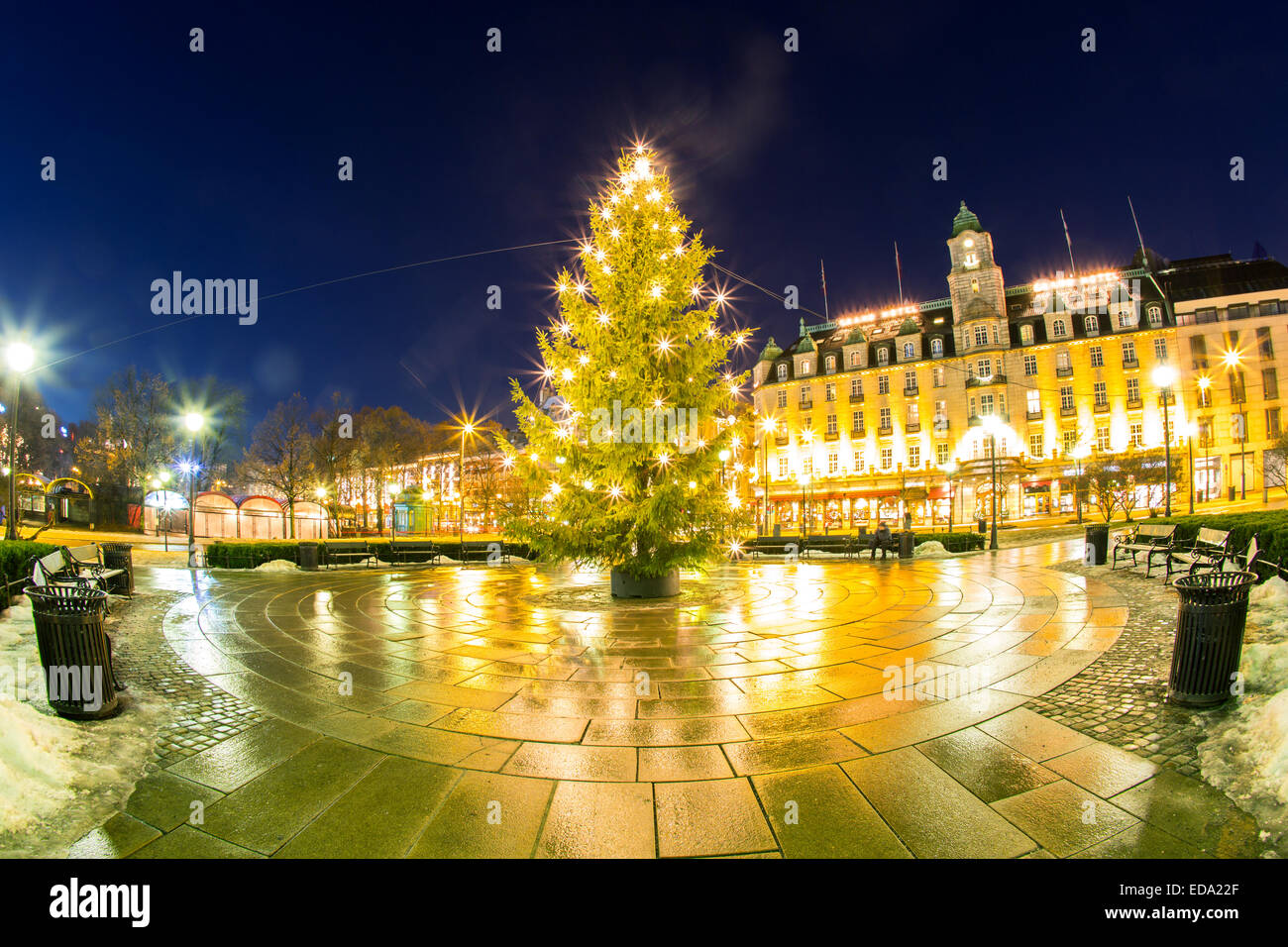 Christmas tree light in oslo city Norway Stock Photo - Alamy