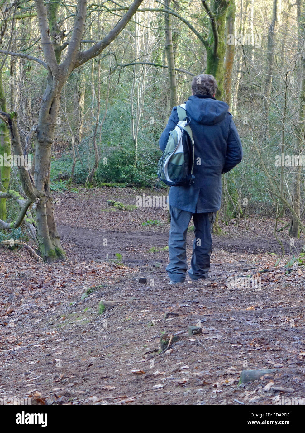 Man Walking the North Worcestershire Path, Lickey Hills Country Park ...
