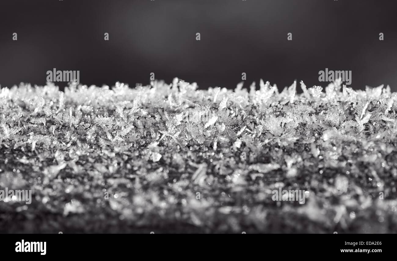 Winter background, morning cold, flake, close up photo of frosty ...