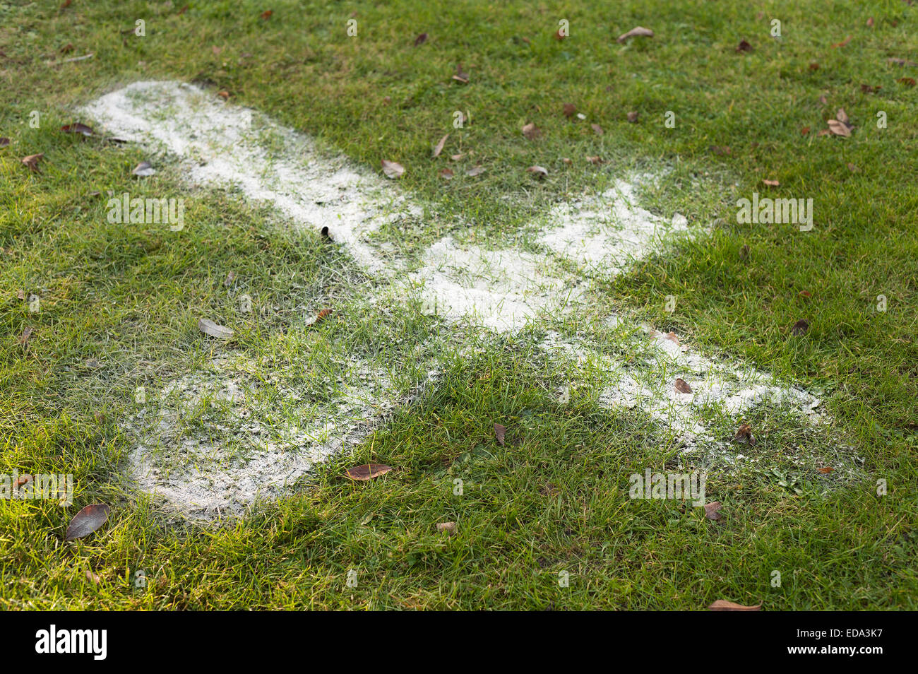 Physical remains of a precious loved one made out in the shape of a ...