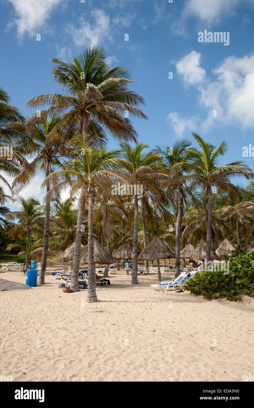 Aruba palm beach resort hi-res stock photography and images - Alamy