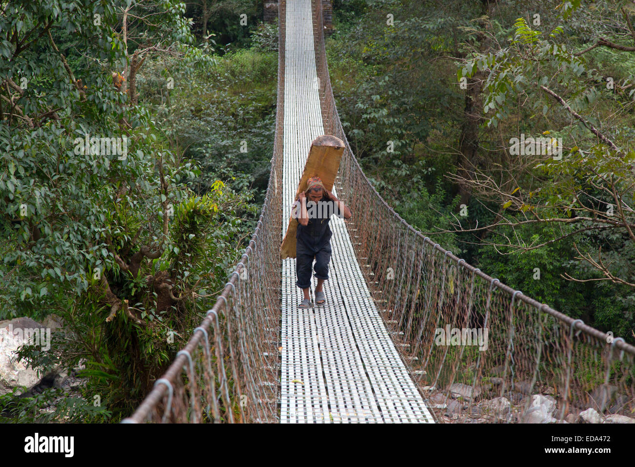 Villager carrying heavy log over suspension bridge at Birethanti Modi ...