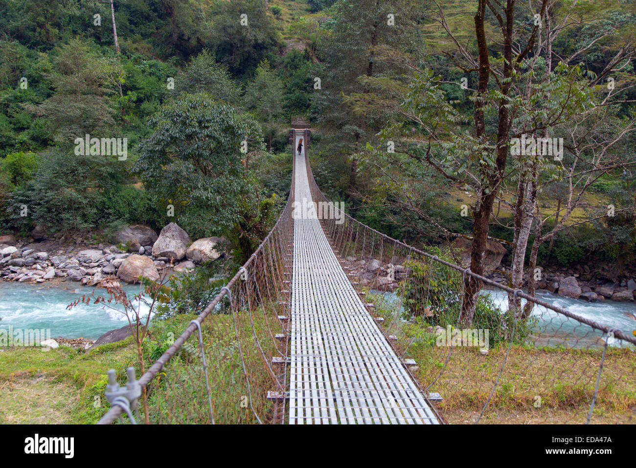 Villager carrying heavy log over suspension bridge at Birethanti Modi ...