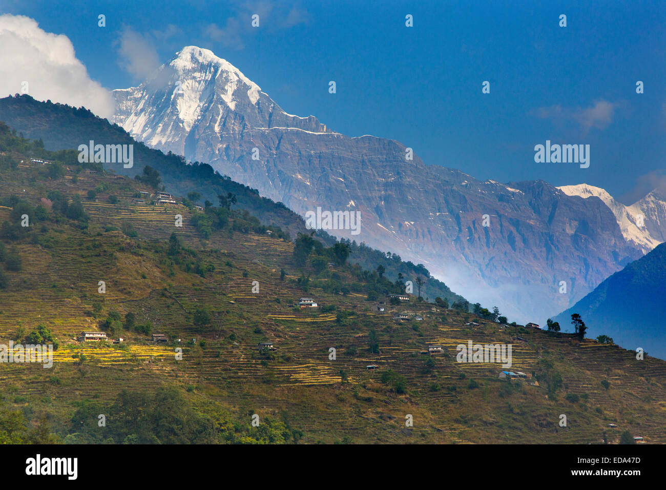 village of Ghandruk in the Modi Khola Valley at around 2000 metres with ...