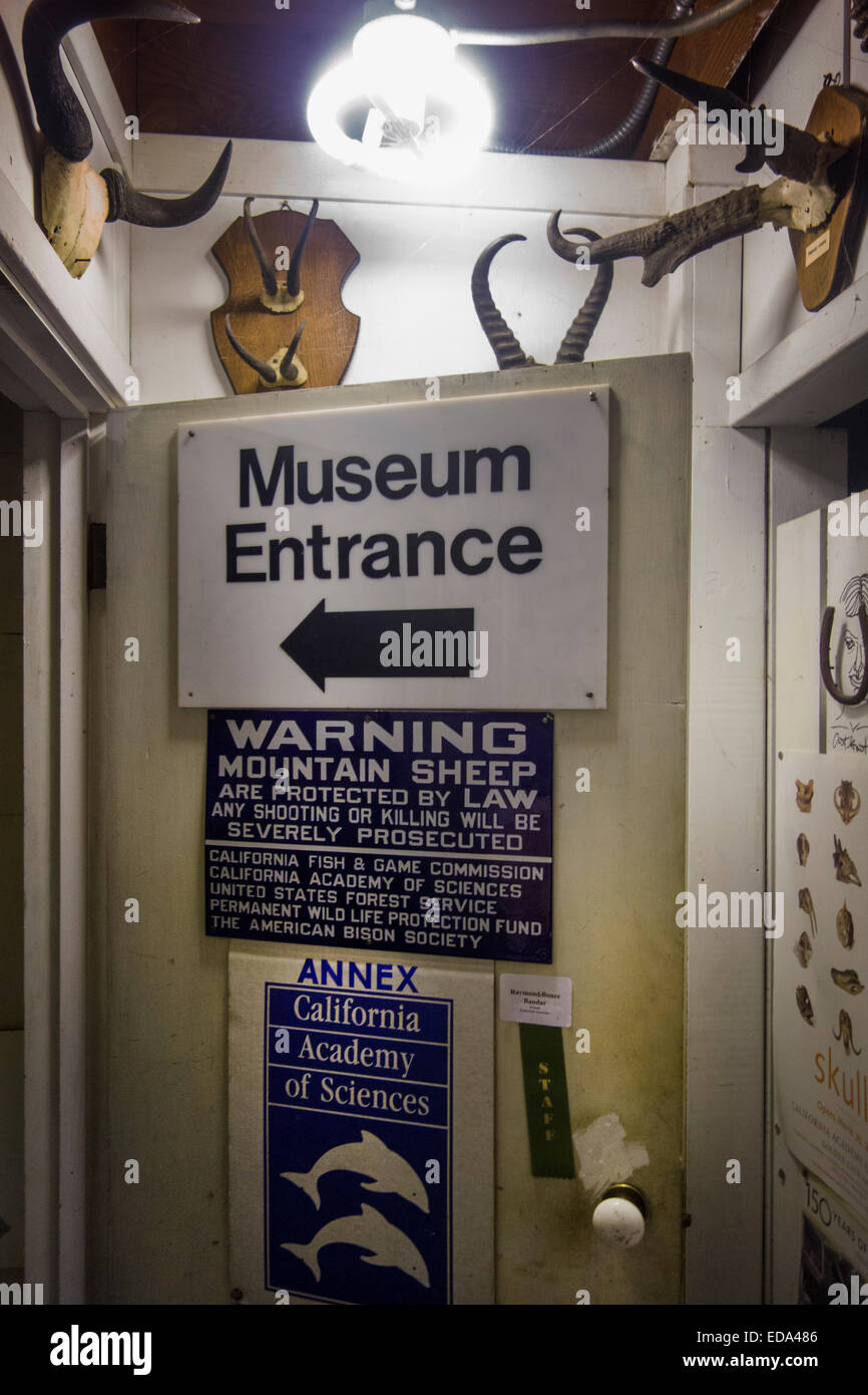 Ray Bandar bone collector museum Stock Photo - Alamy