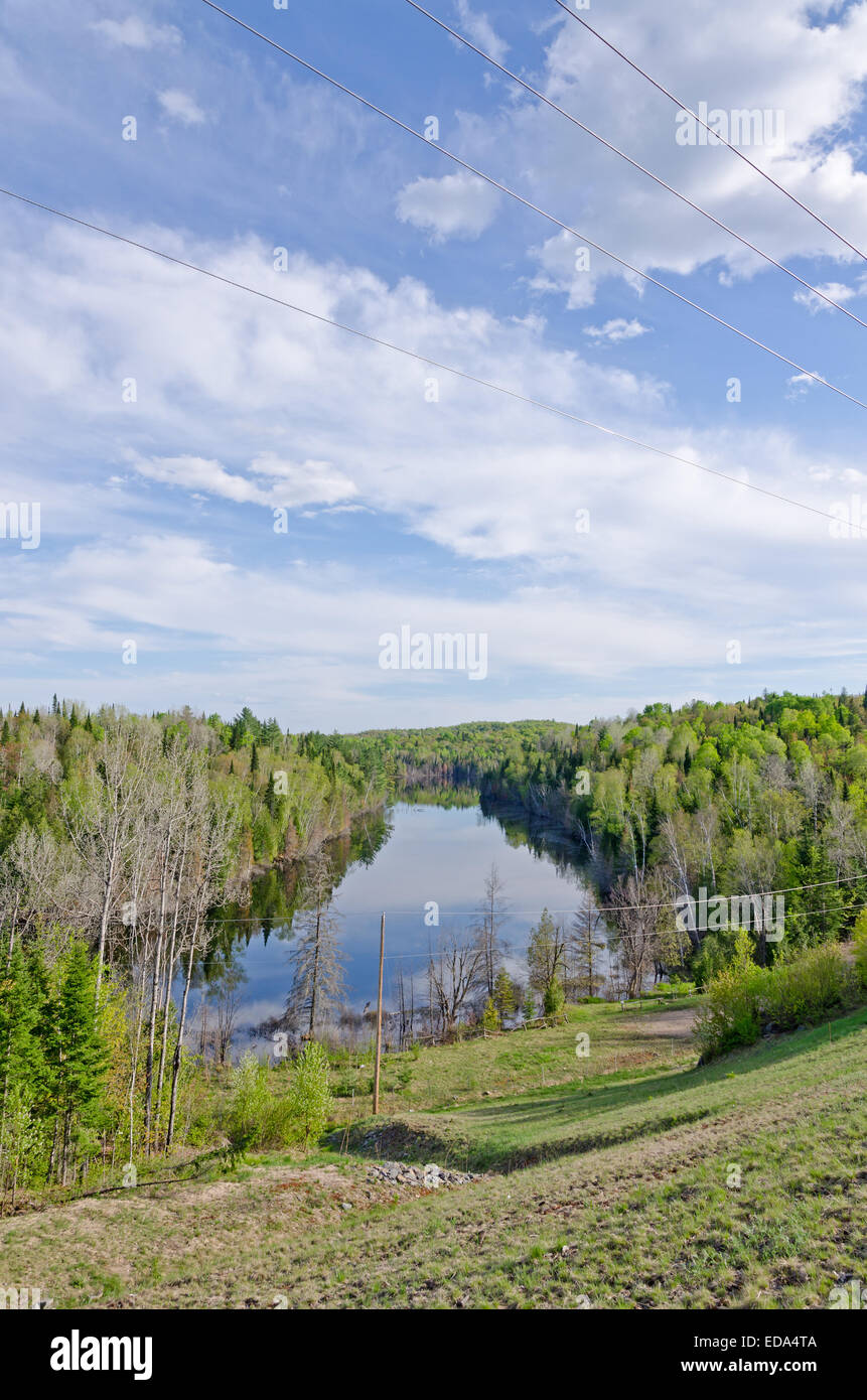 Forest lake in sunny day in Quebec Stock Photo - Alamy