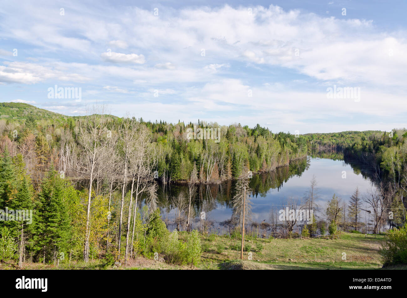 Quebec forest lake hi-res stock photography and images - Alamy
