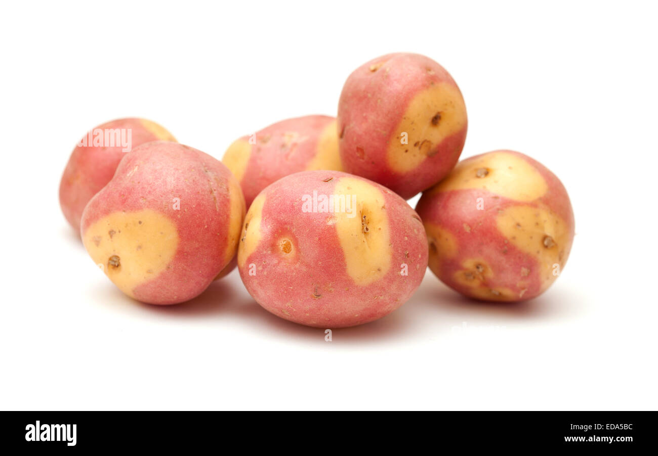 Canary islands potatoes, pink variety, isolated on white background ...