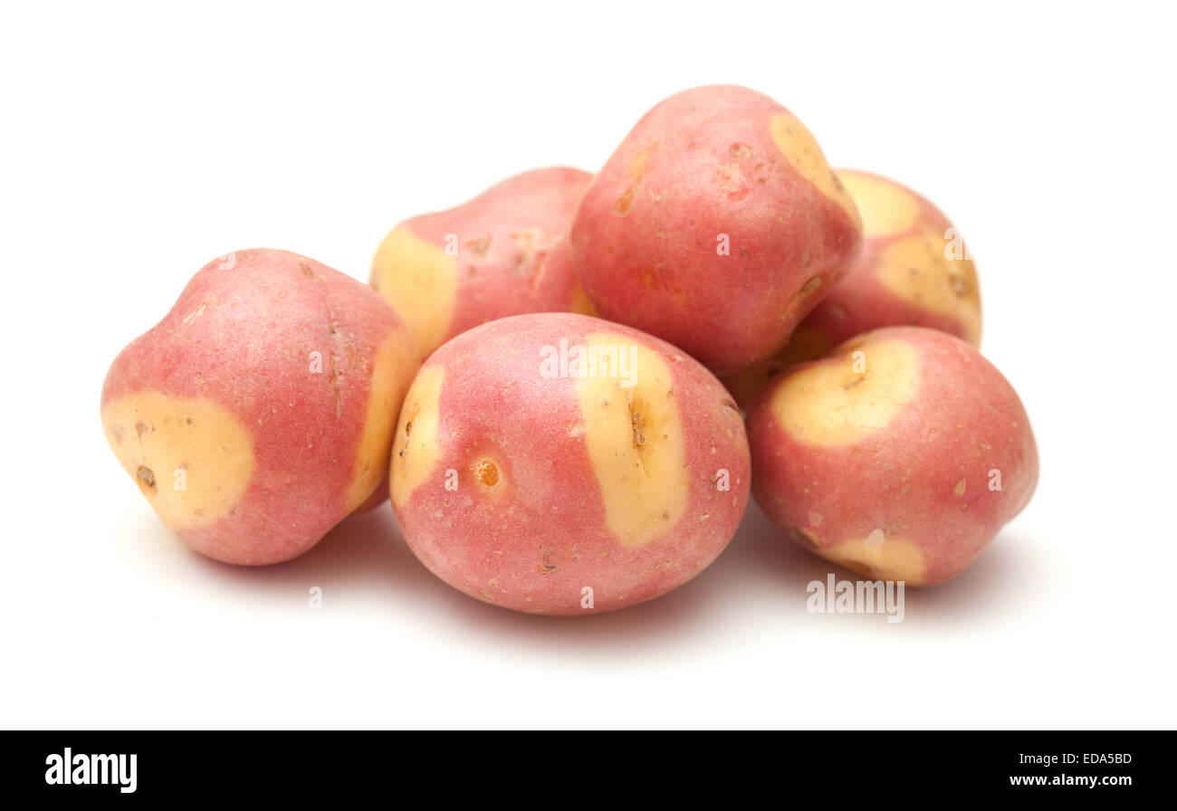 Canary islands potatoes, pink variety, isolated on white background ...