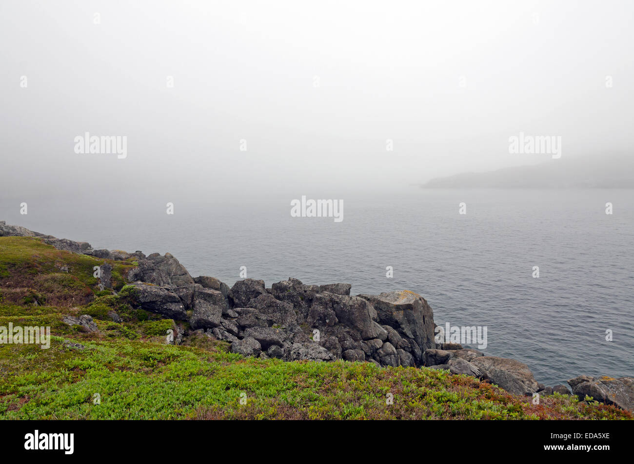 Newfoundland coast in summer time Stock Photo - Alamy