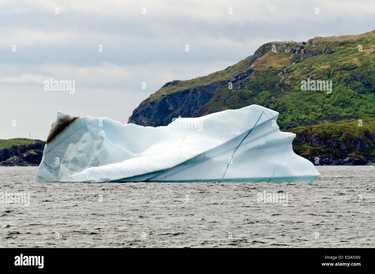 Iceberg newfoundland summer hi-res stock photography and images - Alamy