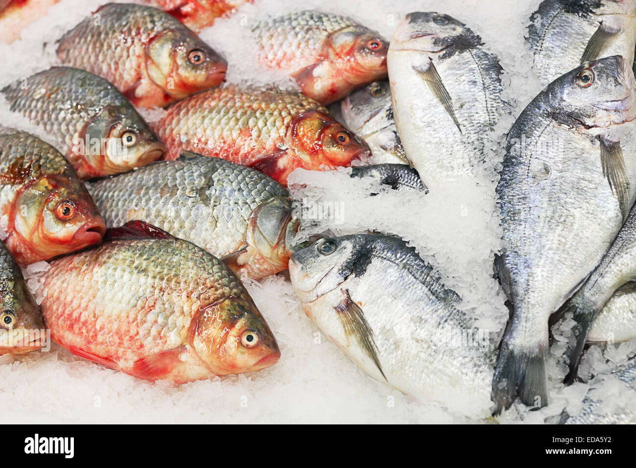 Chilled fresh fish on the counter grocery store Stock Photo - Alamy