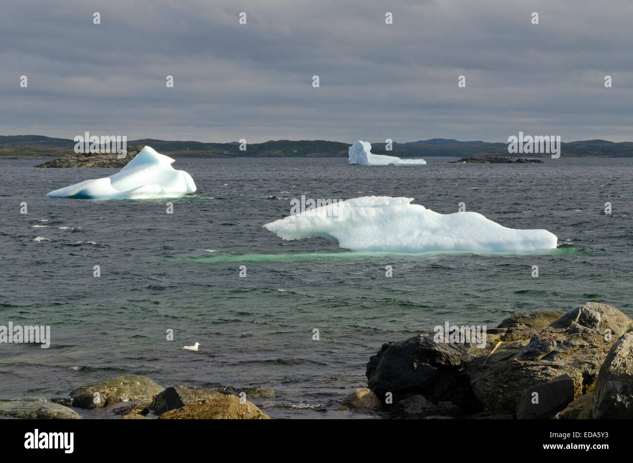 Bright white iceberg on dark water and rock background Stock Photo - Alamy