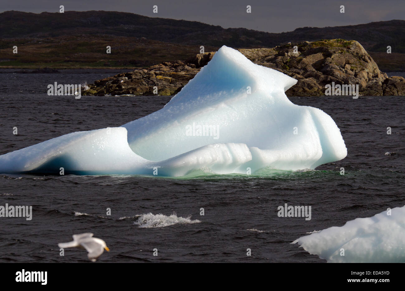 Bright white iceberg on dark water and rock background Stock Photo - Alamy