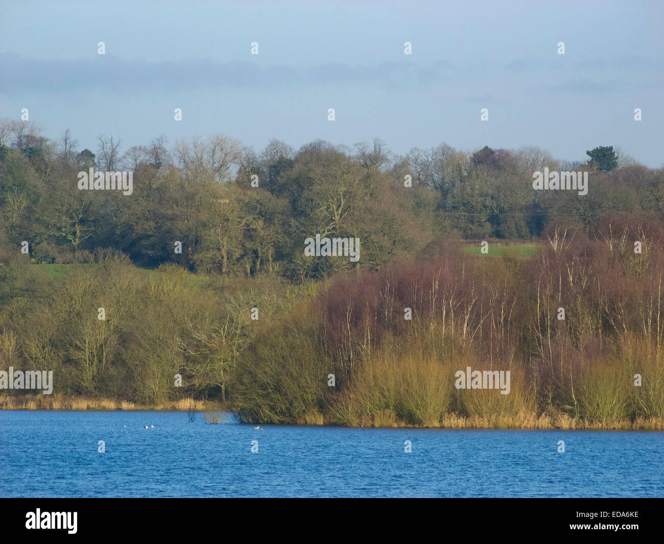 Upper Bittell Reservoir, Cofton Hackett, Worcestershire, England, UK in ...