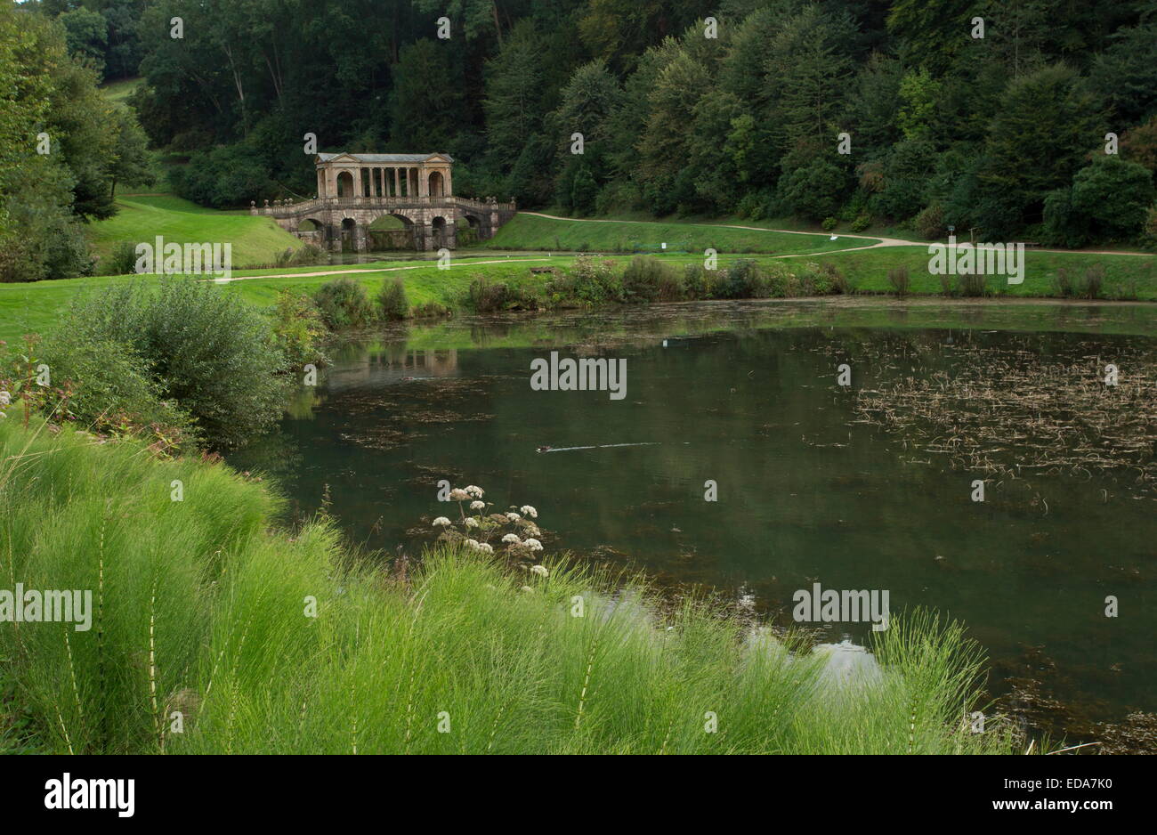 Lake and Palladian Bridge in Prior Park, Bath, designed and built by ...