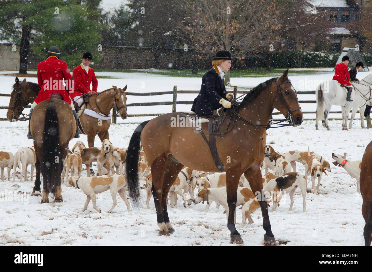Fox hunt chase hi-res stock photography and images - Alamy