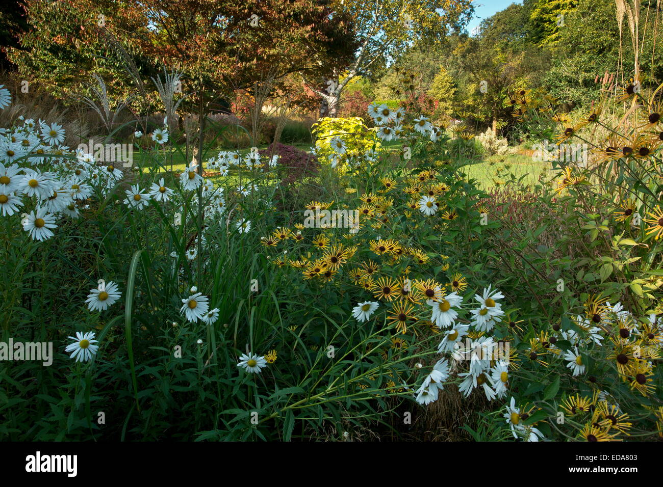 Knoll and dorset hi-res stock photography and images - Alamy