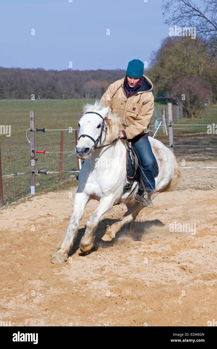 Woman riding pony hi-res stock photography and images - Alamy
