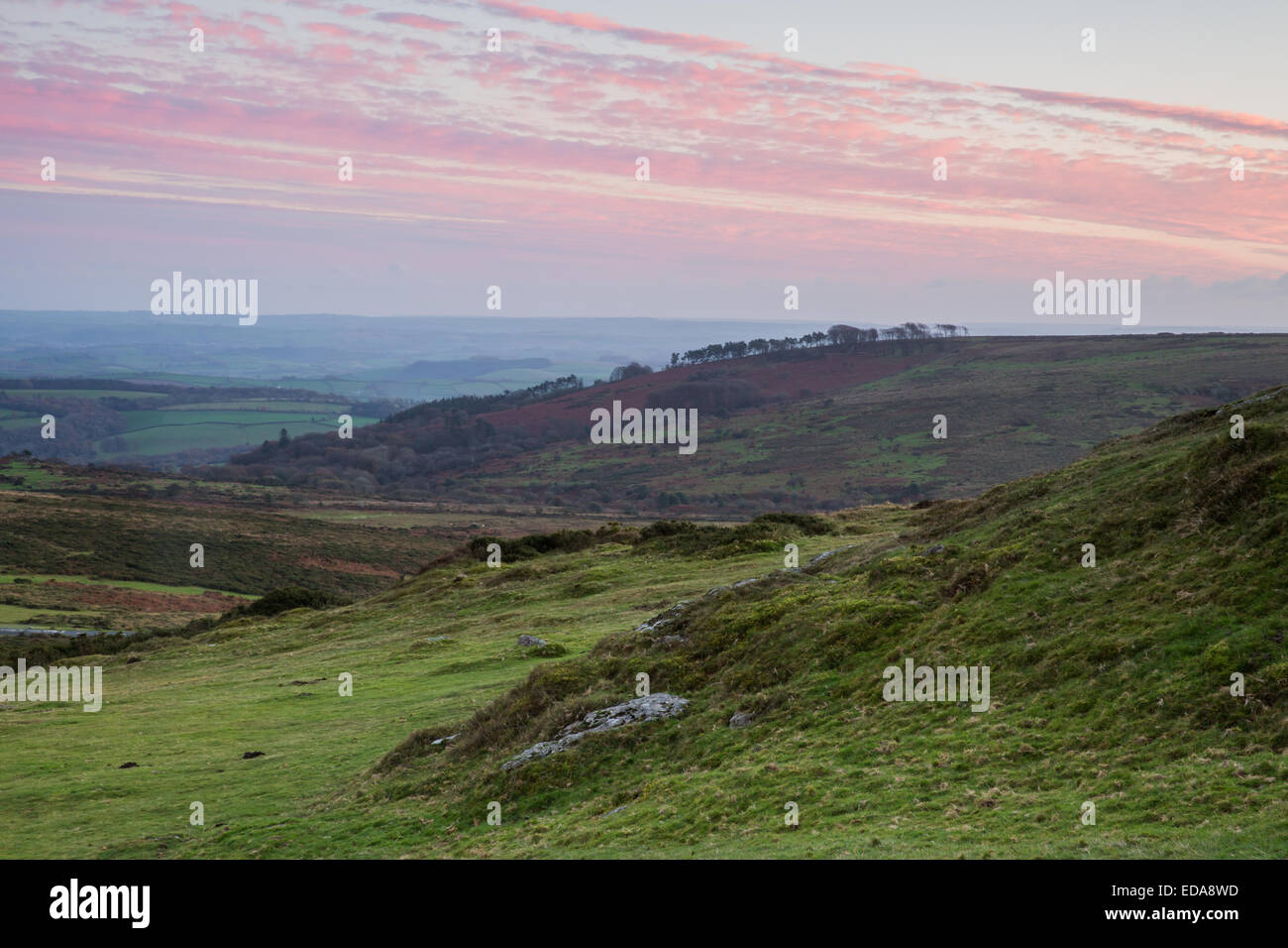 The pink hue of sunset over Haytor, Dartmoor, Devon, England in ...