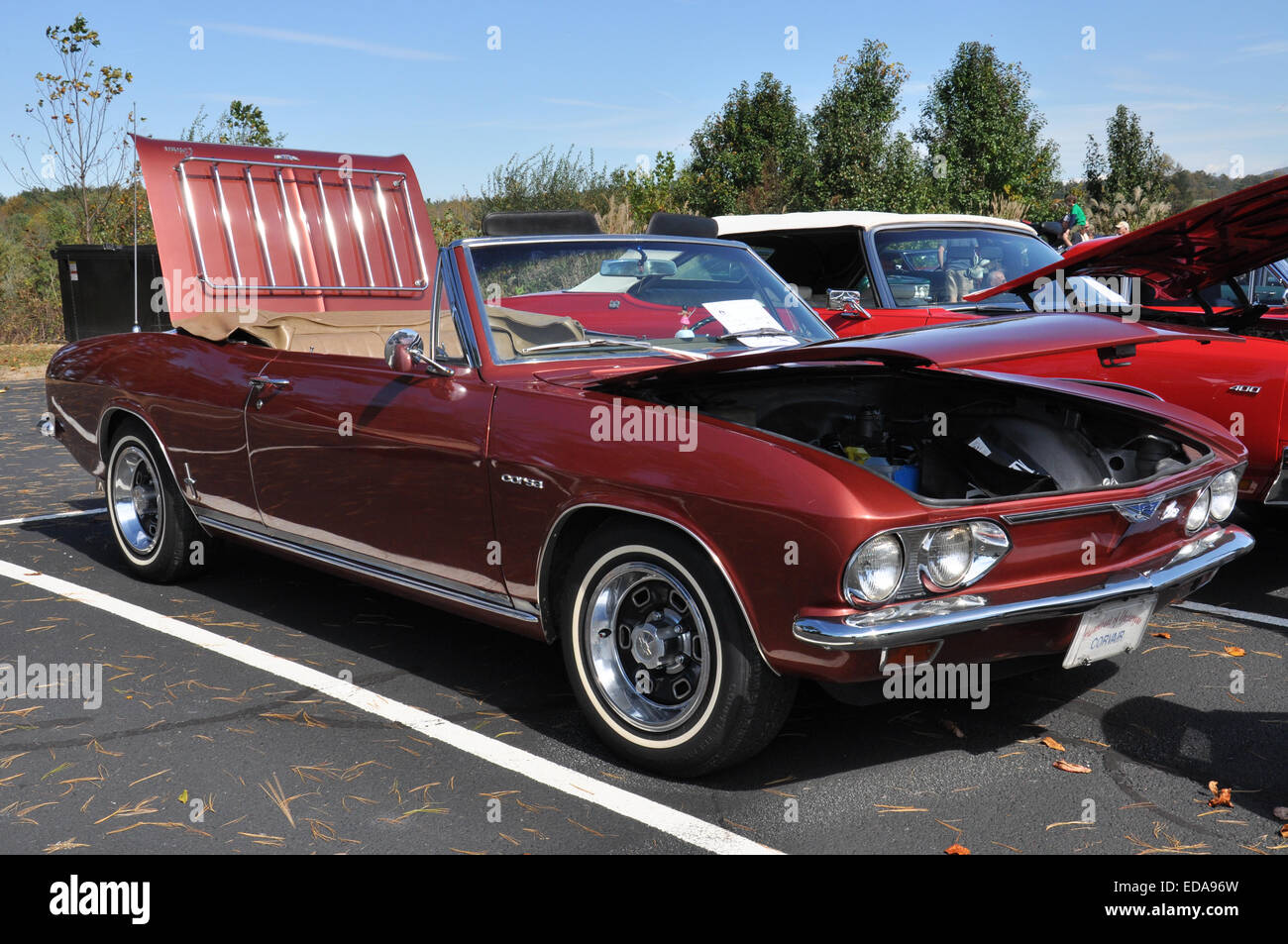1966 Corvair Corsa Convertible New Jersey Association Of Corvair