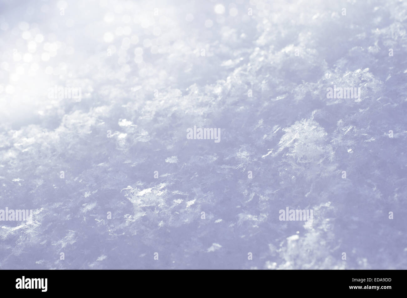 fluffy snow closeup Stock Photo - Alamy