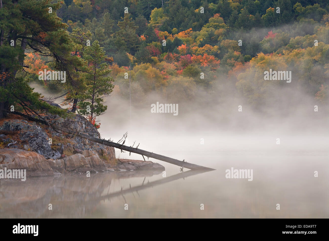 Canadian shield lake hi-res stock photography and images - Alamy