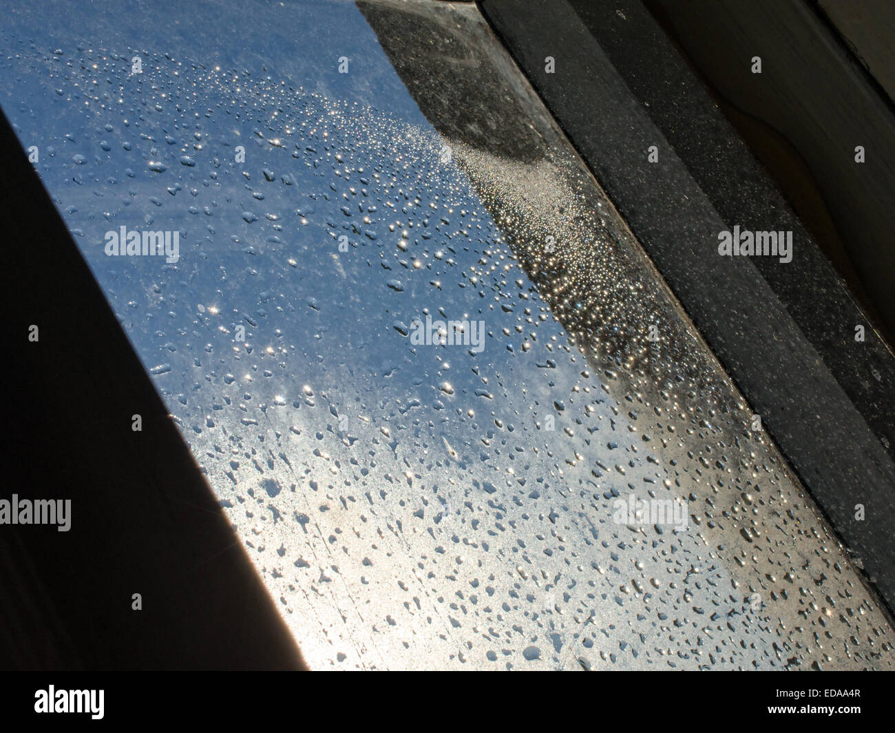 the sun shines through drops of water Stock Photo - Alamy