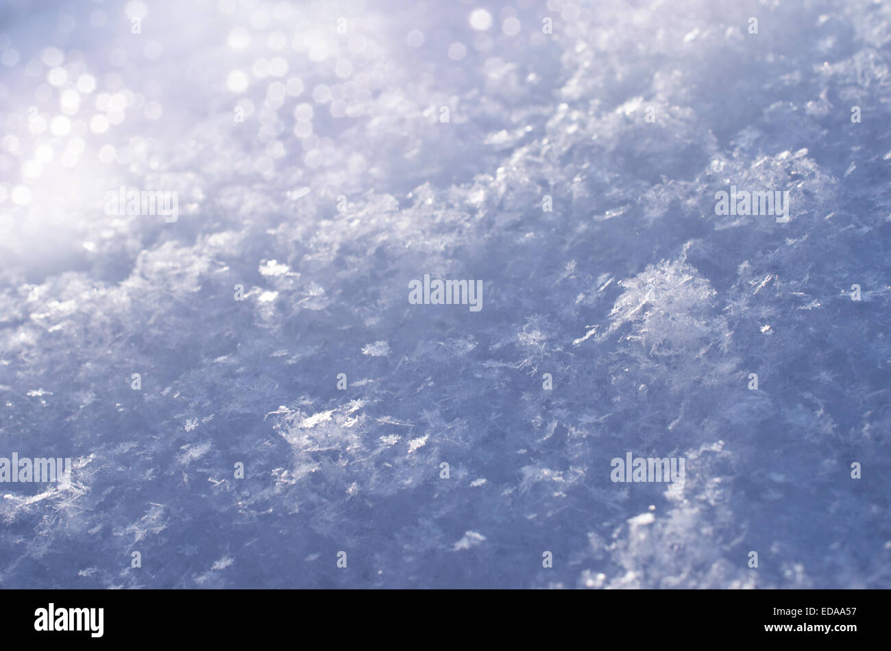 fluffy snow closeup Stock Photo - Alamy