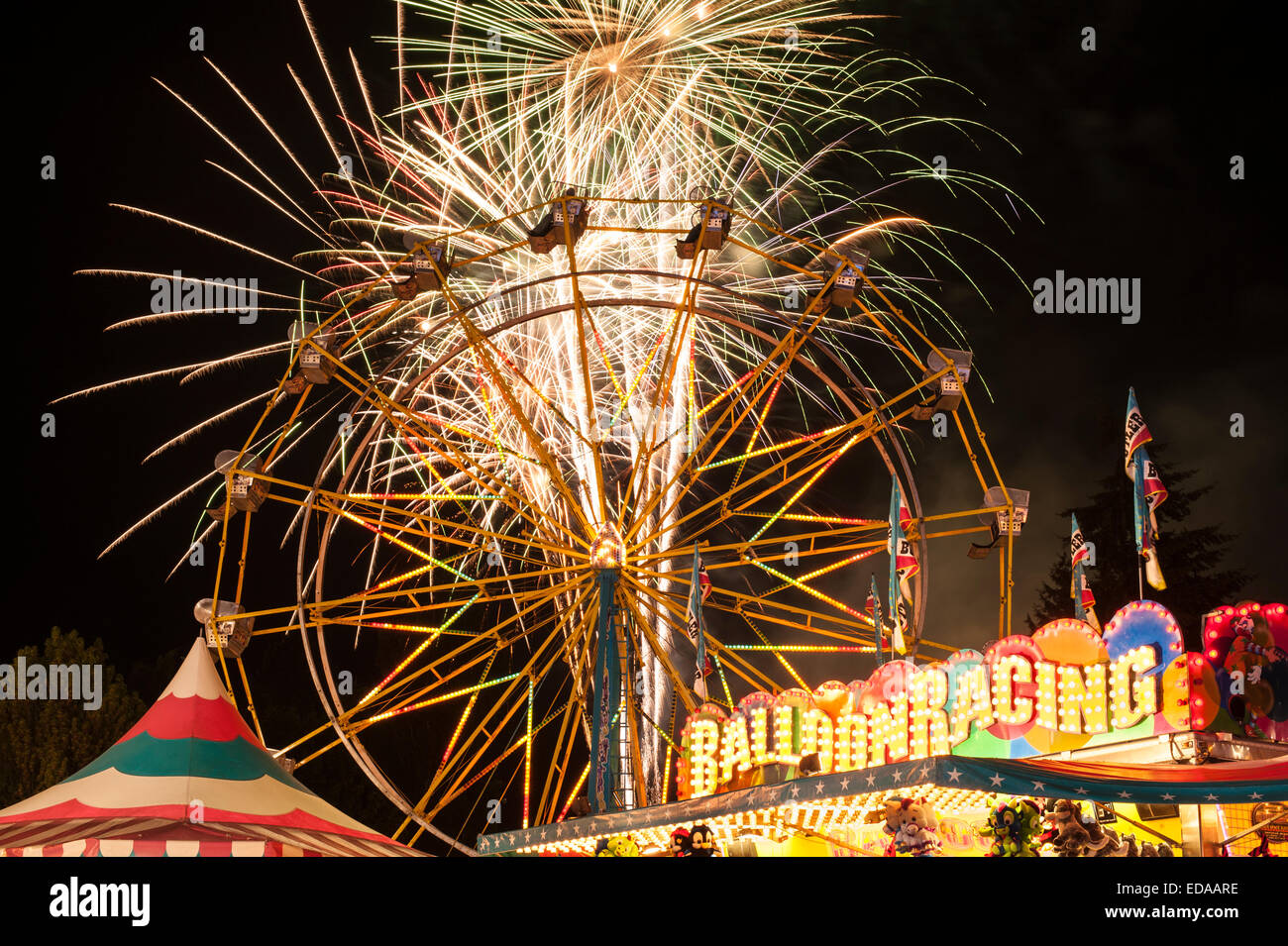 Evergreen State Fair Ferris Wheel
