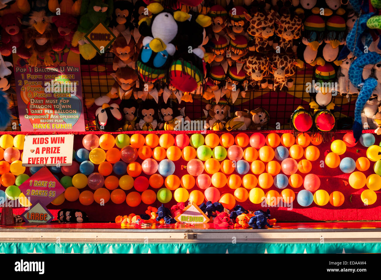 Evergreen State Fair Ferris Wheel