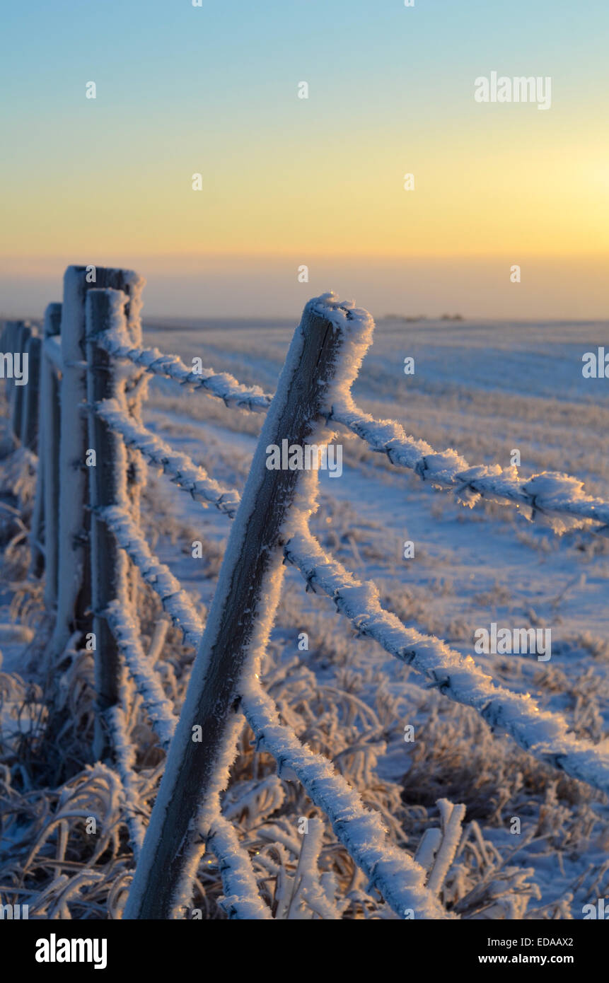 Sunrise ice fence Stock Photo - Alamy