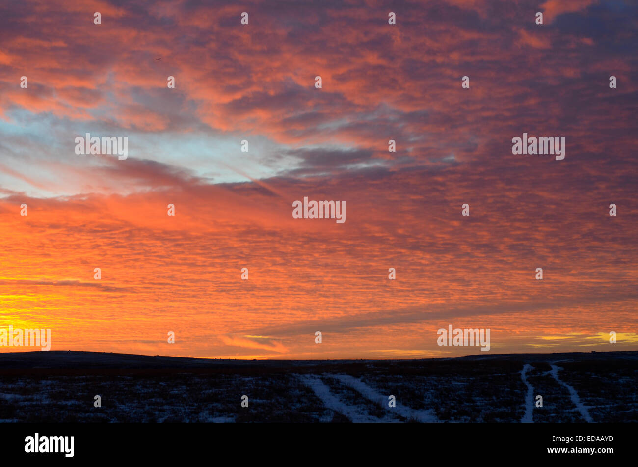 Sunrise over the prairie in Alberta Stock Photo - Alamy