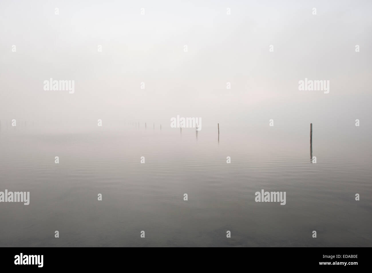 Fog with old pilings Stock Photo - Alamy