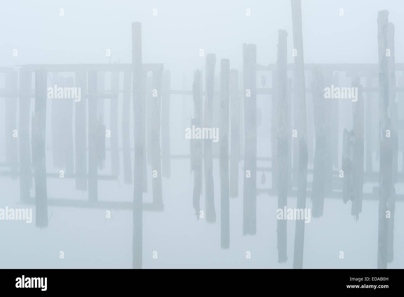 Fog with old pilings Stock Photo - Alamy
