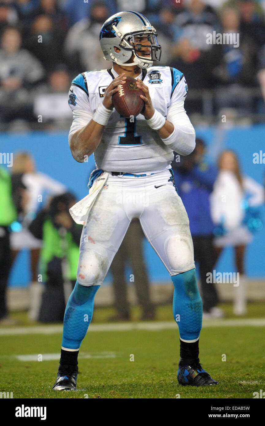 America Stadium, Charlotte, NC, USA. 3rd Jan, 2015. Carolina Panthers ...