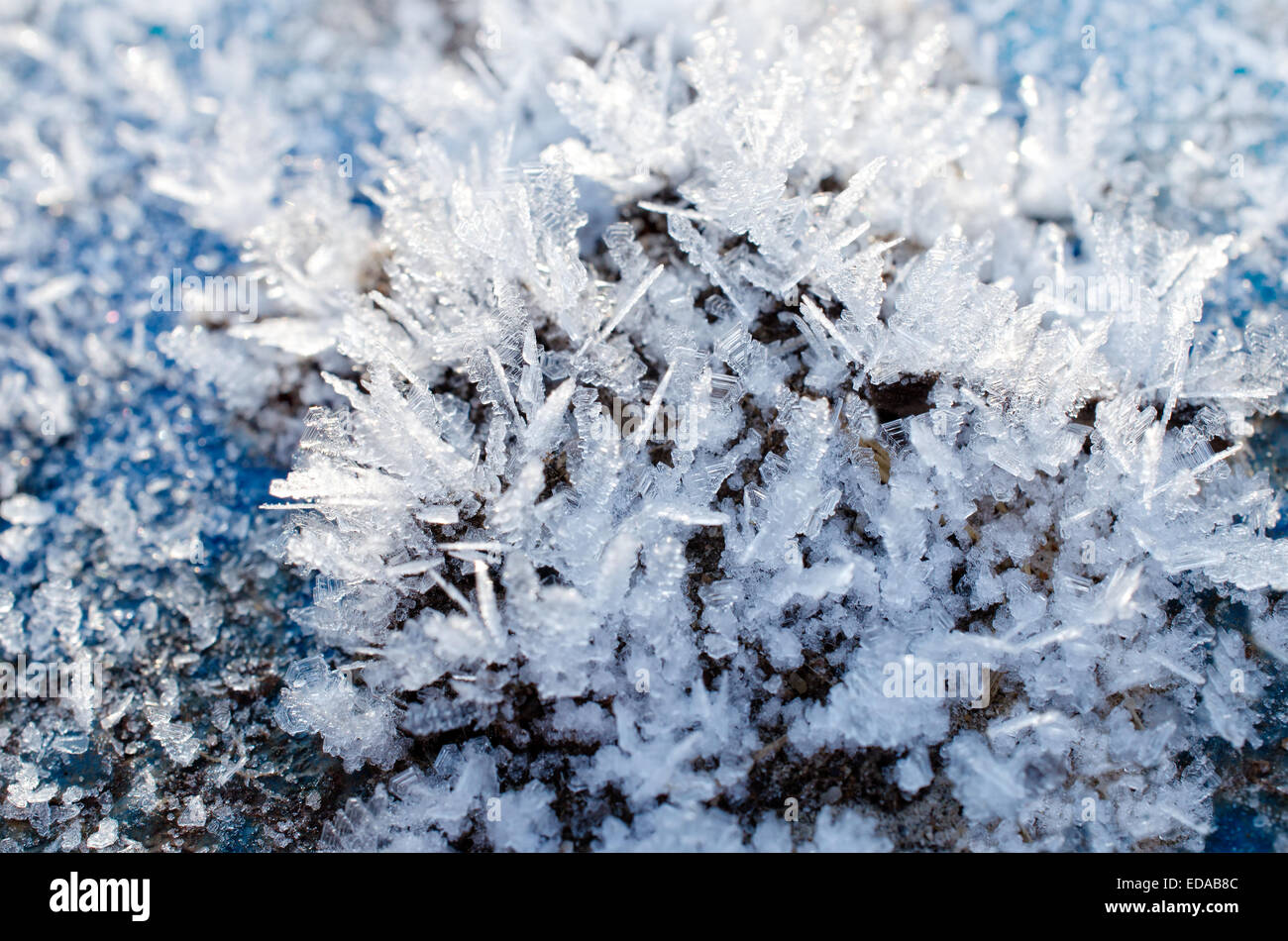 fluffy snow closeup Stock Photo - Alamy