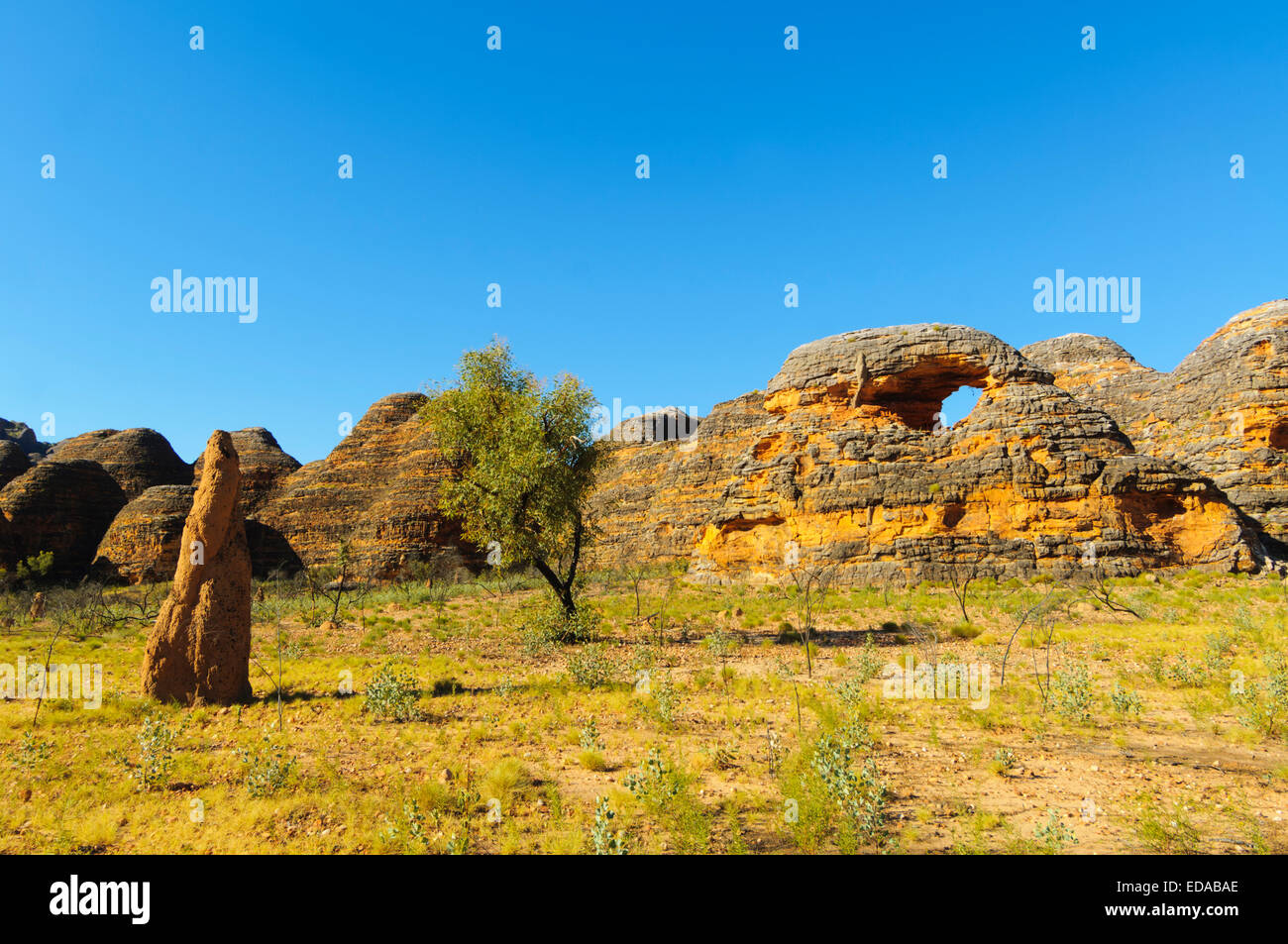 Bungles High Resolution Stock Photography and Images - Alamy