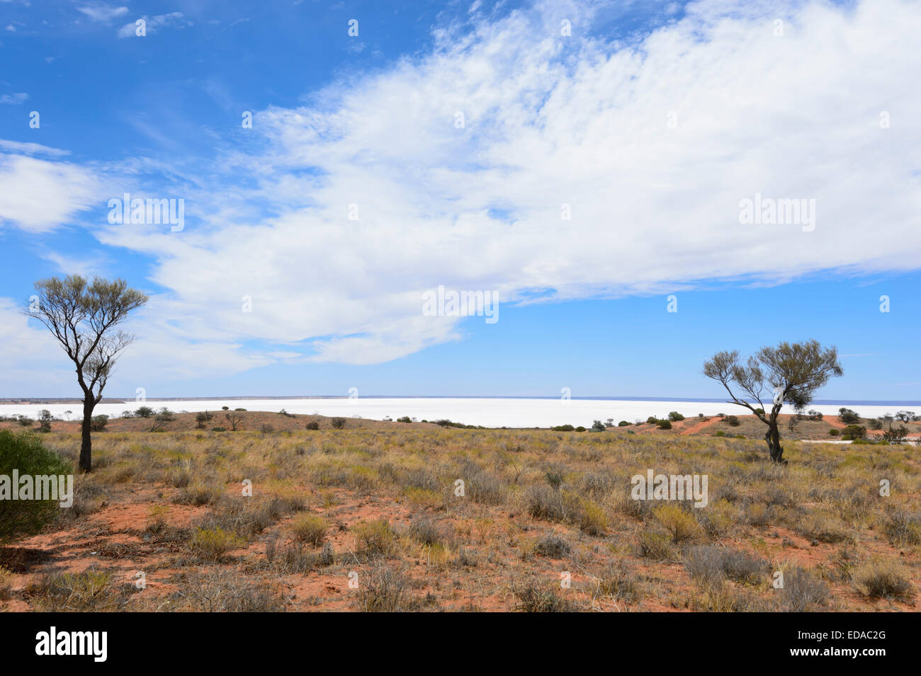 Soil salinity australia hi-res stock photography and images - Alamy