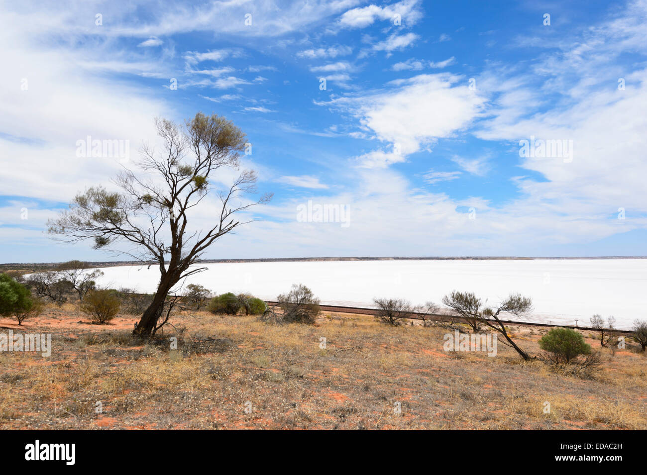 Lake Hart, South Australia, SA, Australia Stock Photo - Alamy