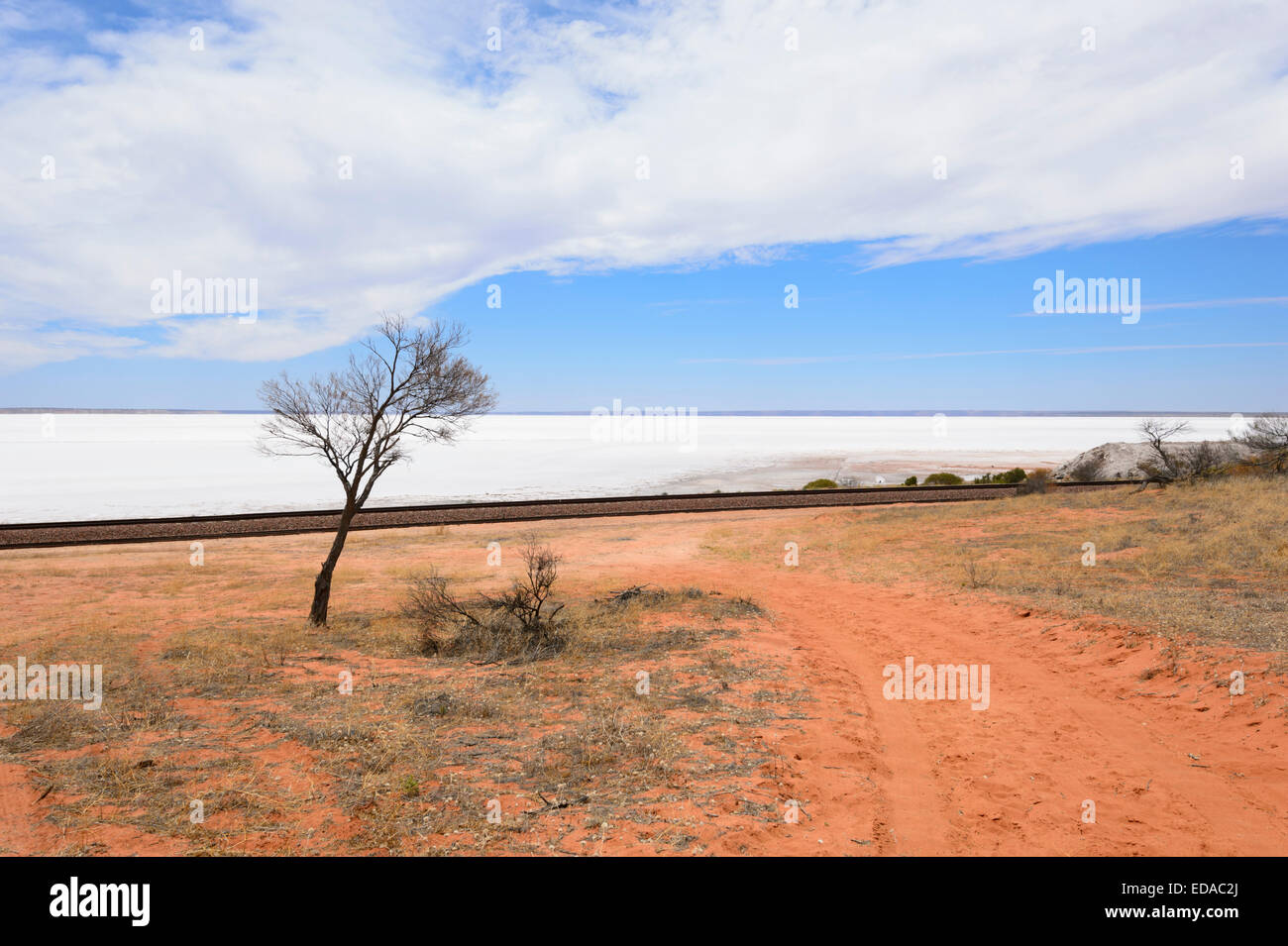 Lake Hart, South Australia, SA, Australia Stock Photo - Alamy