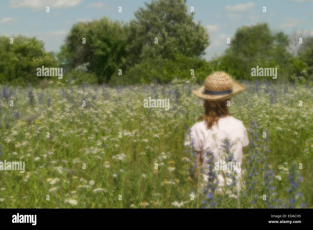young girl relaxing in a field of flowers Stock Photo - Alamy