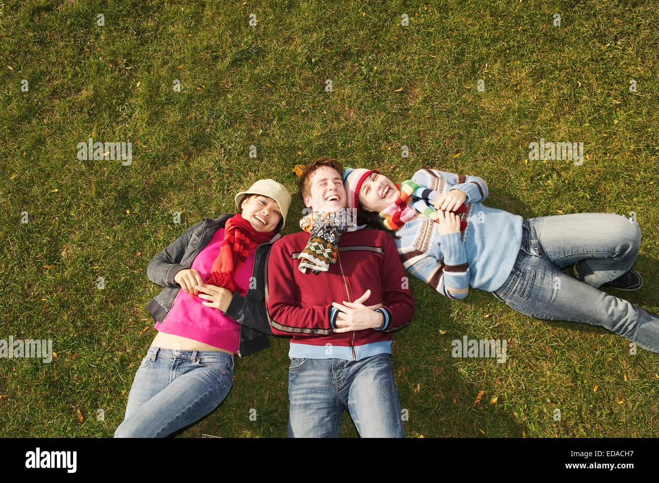 group portrait of students lying on the ground Stock Photo - Alamy