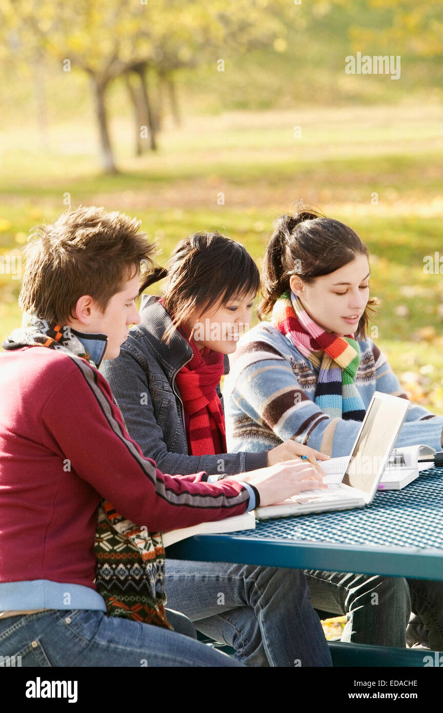 students studying outside Stock Photo - Alamy